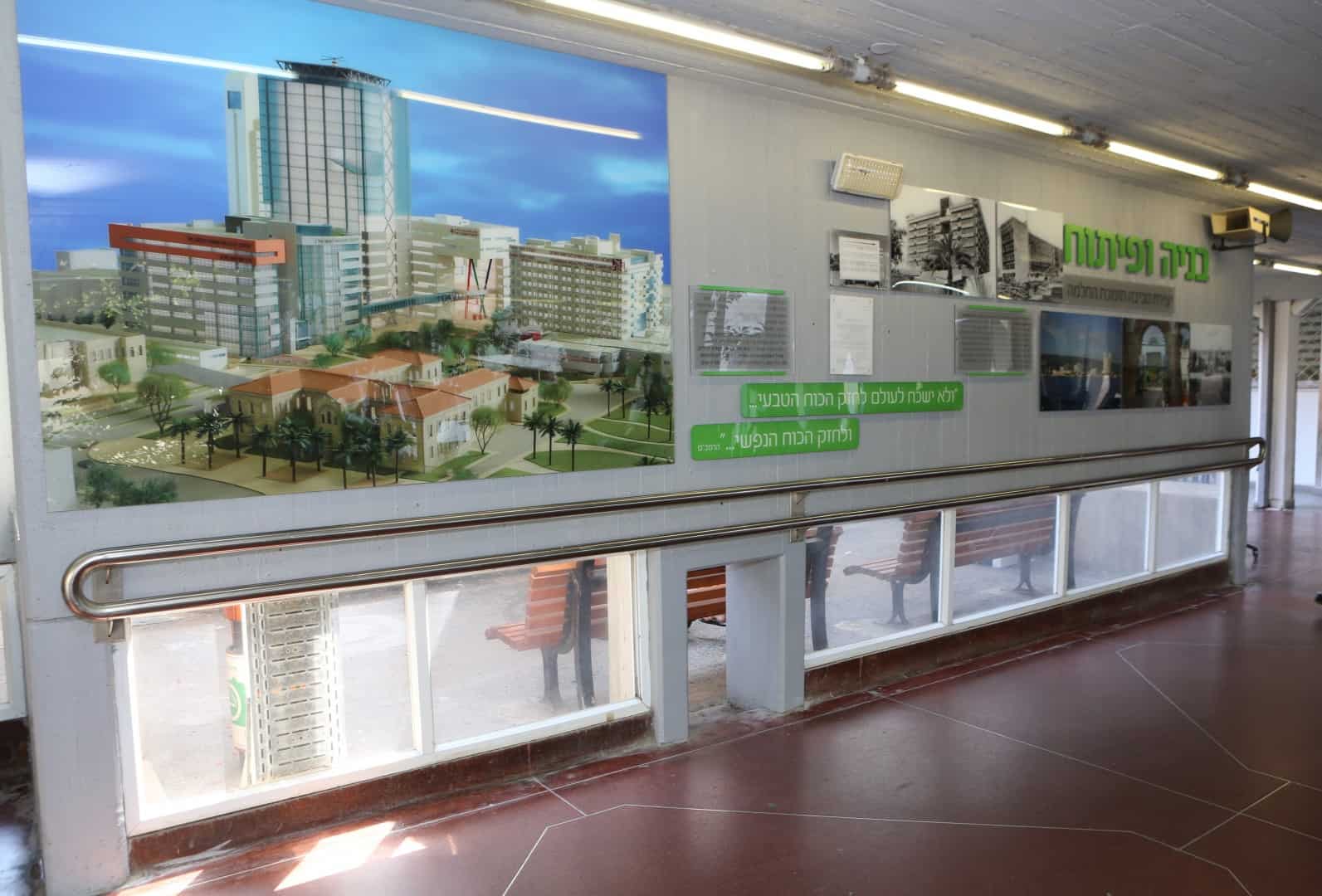 עיצוב קירות משרד | לדרמן חריטה אומנותית